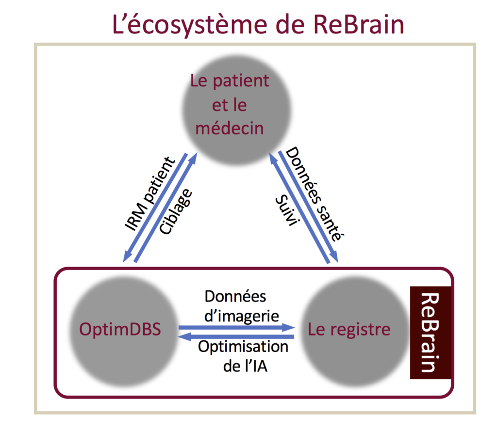 Rebrain - Traitements des maladies neurodégénératives